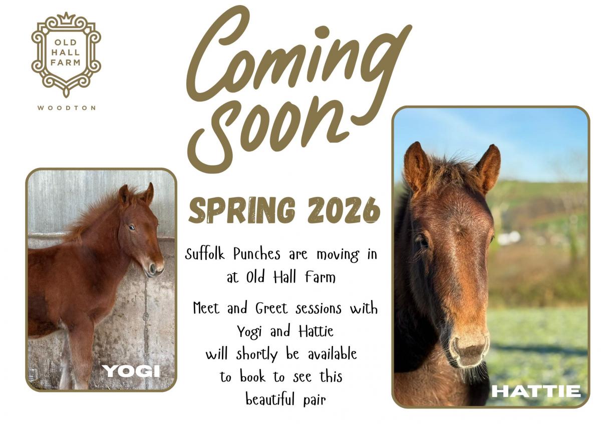 Events | Old Hall Farm